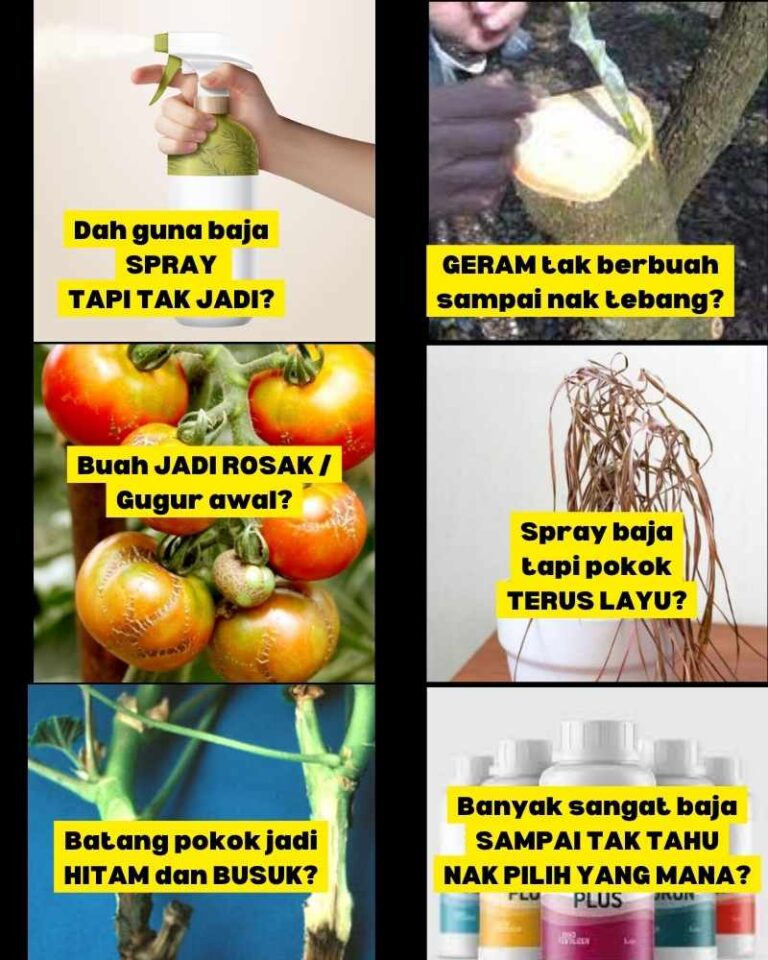 Baja Galak – Baja Organik Berkesan Untuk Pokok Anda